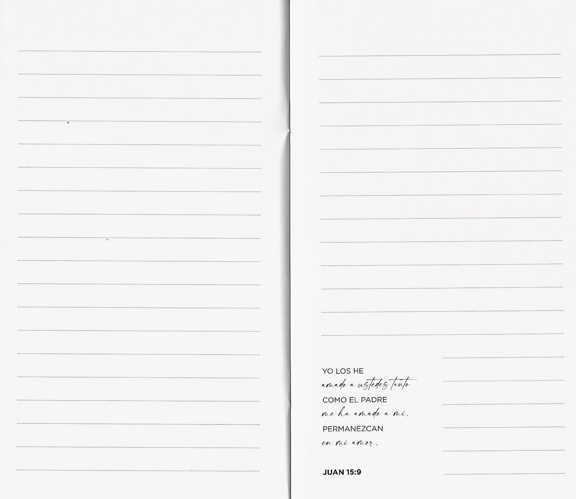 CLC Chile | PACK DE LIBRETAS - MODELO 1